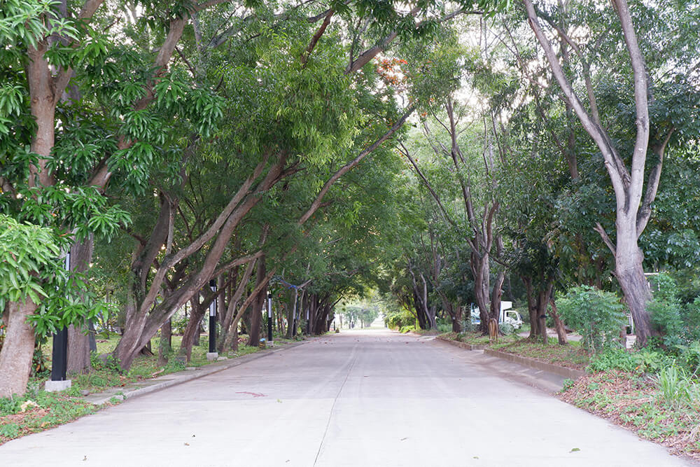 Key Features – Azuela Cove