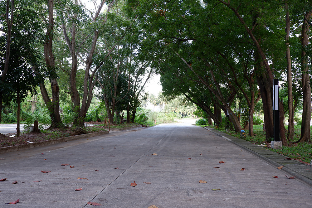 Key Features – Azuela Cove